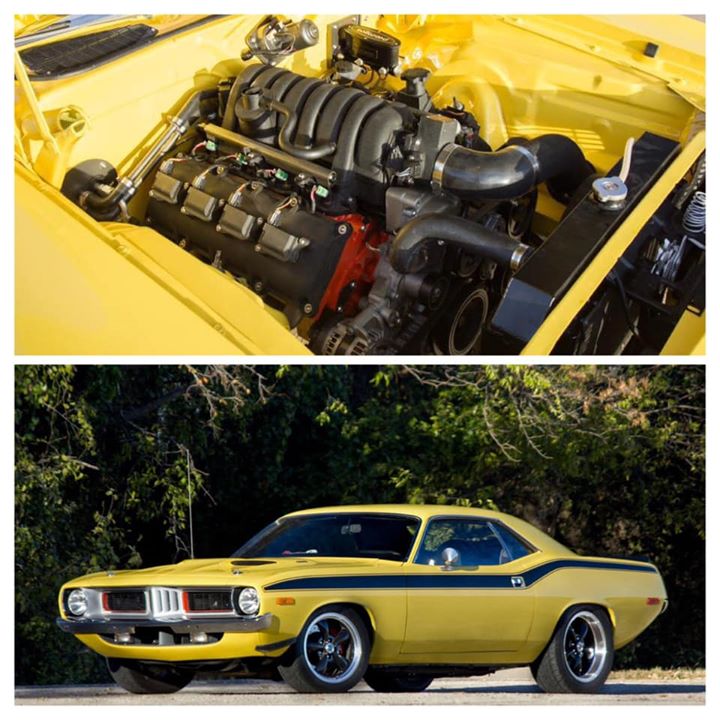 Mike's Yellow Barracuda